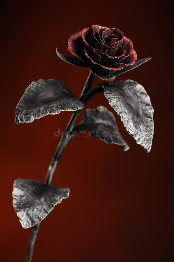The Rose on the Dark-red Background. Stock Photo - Image of gift ...