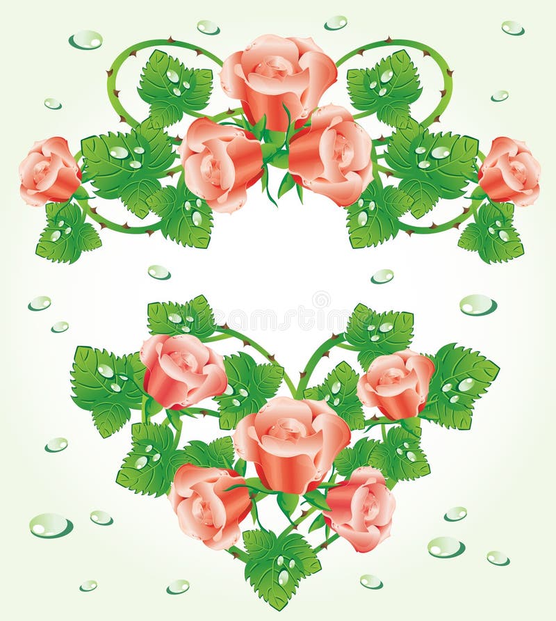 Rose design elements stock vector. Illustration of orange - 17555322