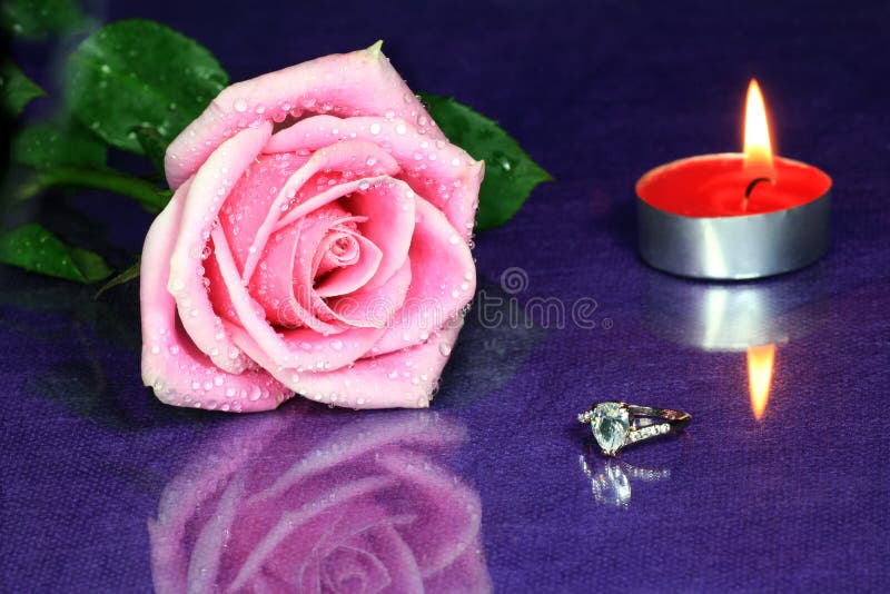 Rose with Diamond Ring stock image. Image of rose, background - 6715383