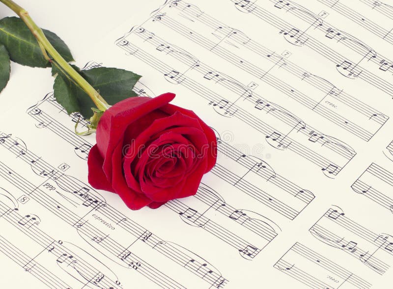 Rose, die auf Noten legt stockbild. Bild von anmerkungen - 38833239