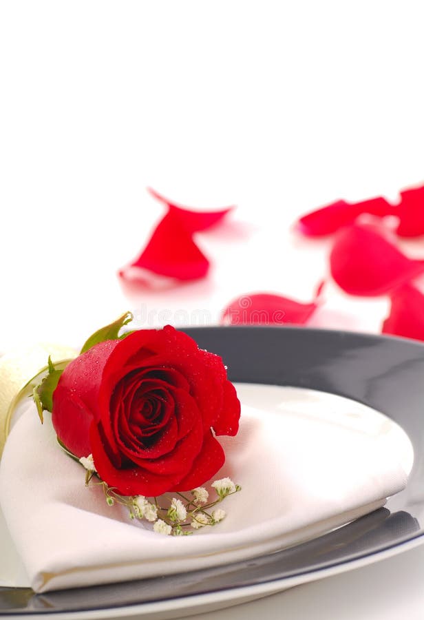Rose on a dinner plate stock photo. Image of date, drops - 12832580