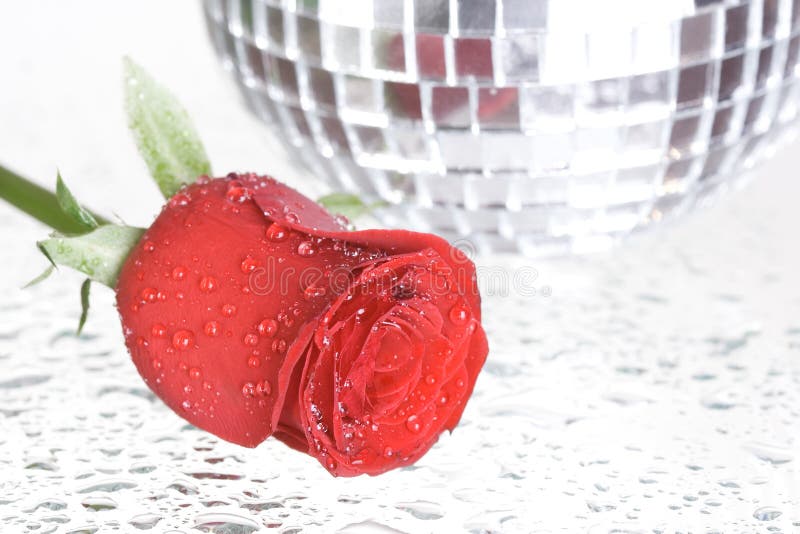 Rose and disco ball stock image. Image of love, passion - 7905007