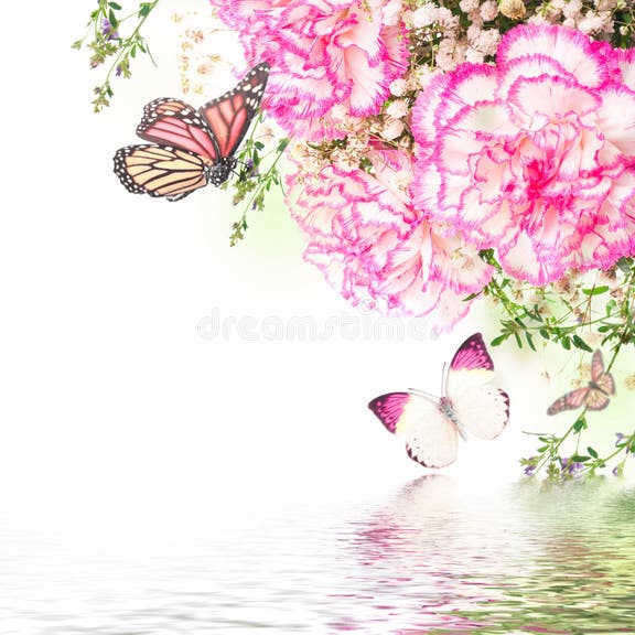 Rose E Farfalla Rosa, Fondo Floreale Immagine Stock - Immagine di ...