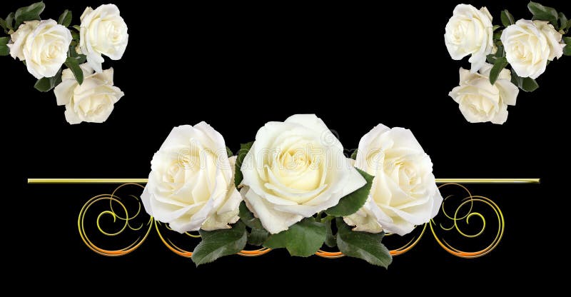 Rose elements. stock image. Image of elegance, nature - 6456055