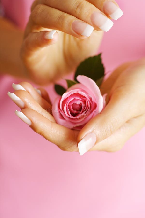 Rose en manos imagen de archivo. Imagen de suave, amor - 5883575