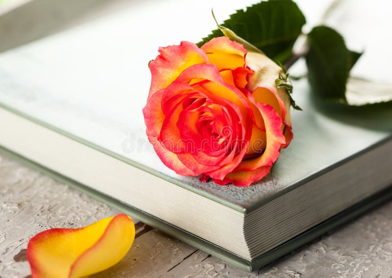 Rosas y libros foto de archivo. Imagen de flor, rosas - 79086032