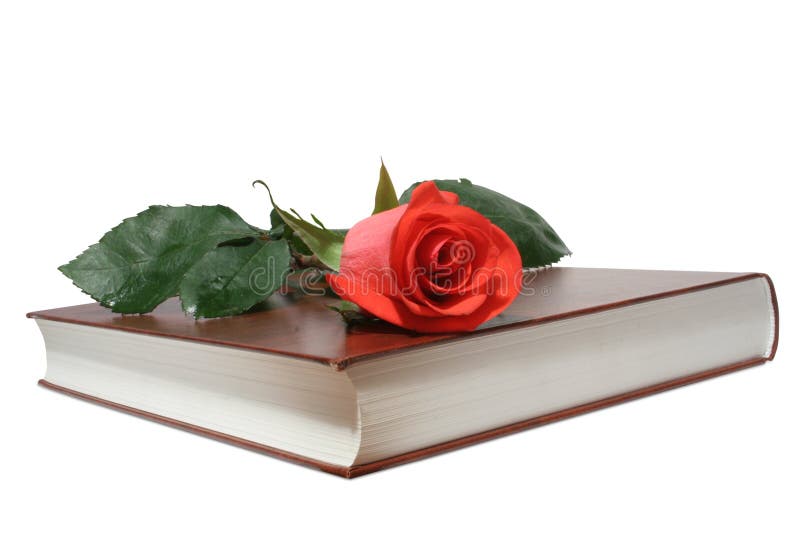 Rosas y libros foto de archivo. Imagen de flor, rosas - 79086032