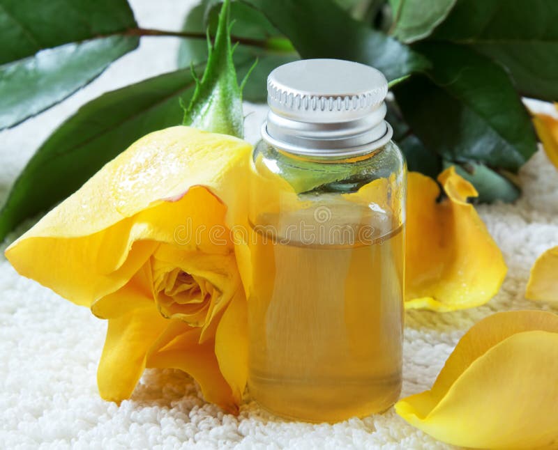 Rose Essential Oil stock photo. Image of fragrance, aromatic - 37908378