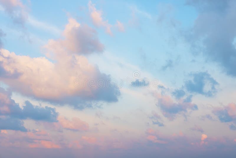 Rose Et Ciel En Pastel Bleu Photo stock - Image du ciel, pastel: 105126414