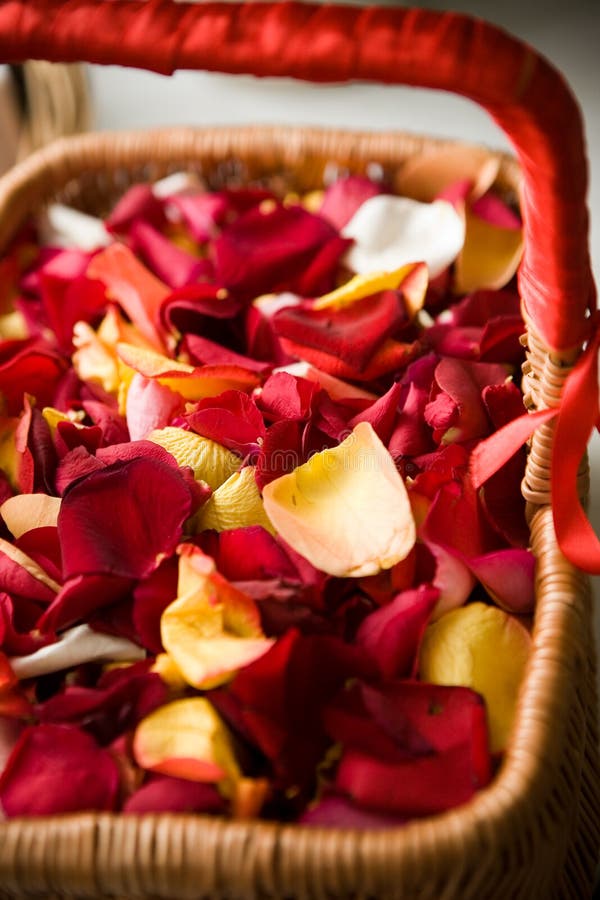 Rose flakes stock photo. Image of decoration, petals - 15955778