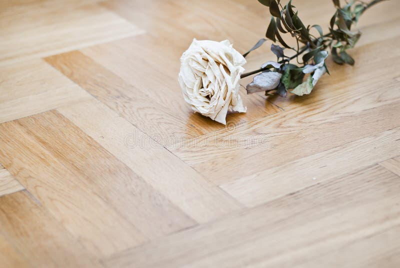 Rose on the floor stock image. Image of pink, texture - 42419865