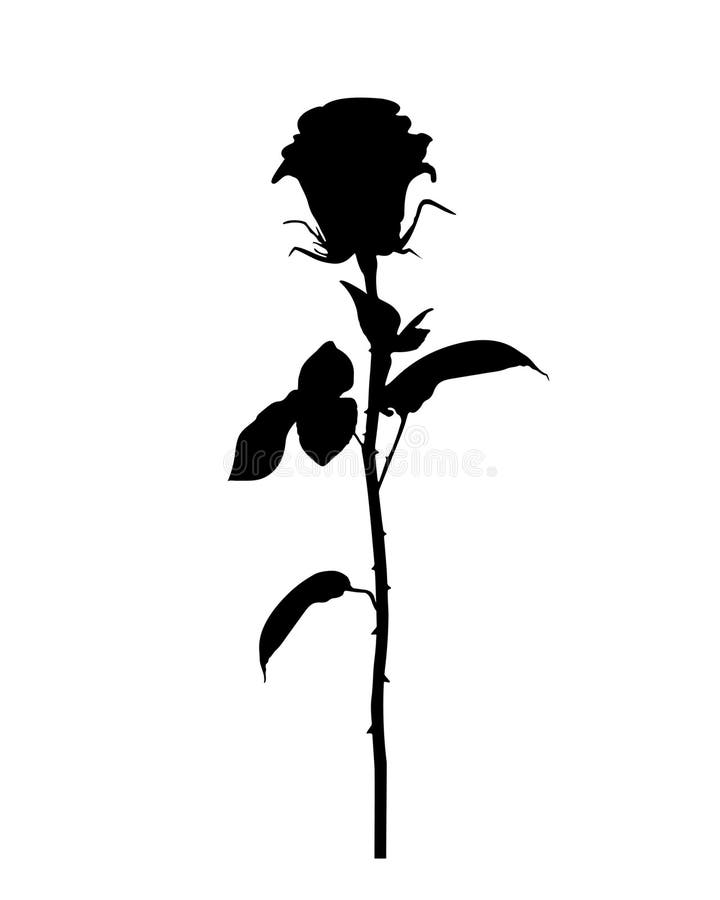 Rose Flower, Black Flat Vector, Cut Files Stock Vector - Illustration ...