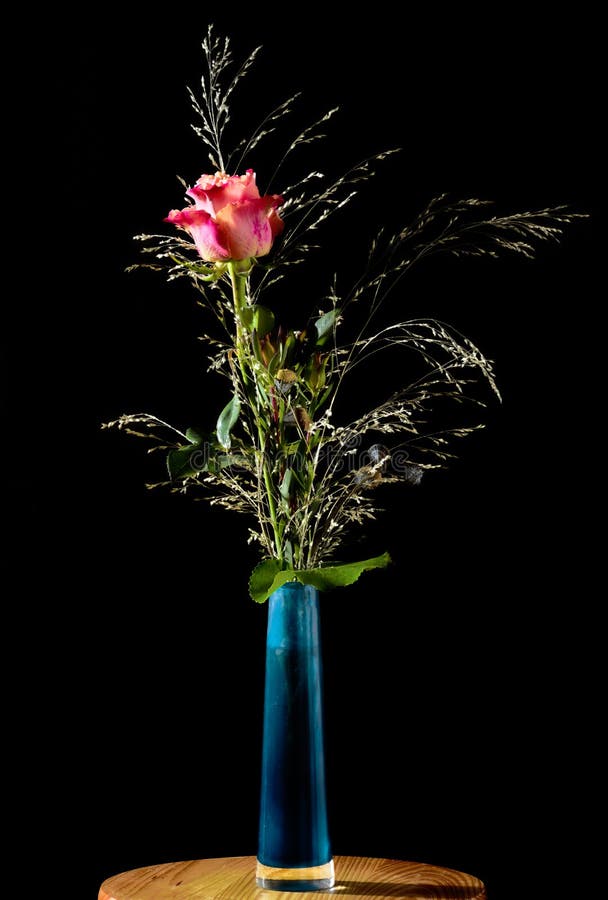 Rose flower in a blue vase stock image. Image of deco - 264095137