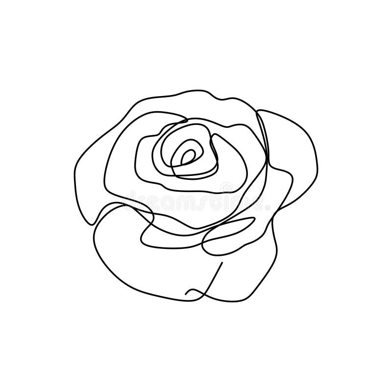 Rose Flower Continuous Line Art Drawing Vector Illustration Stock ...