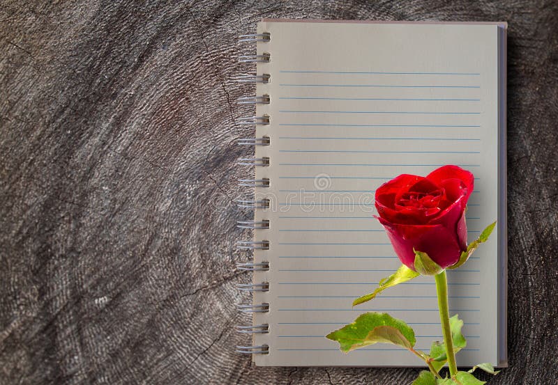 Rose Flower on Empty Page Notebook Stock Photo - Image of floral, desk ...