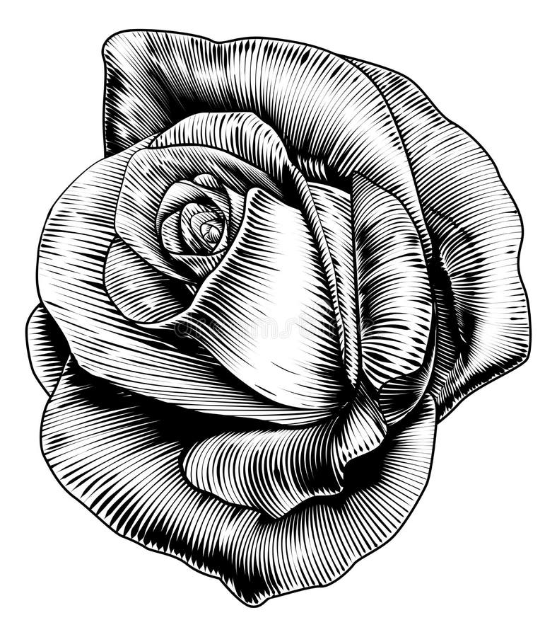 2+ Woodcut roses Free Stock Photos - StockFreeImages