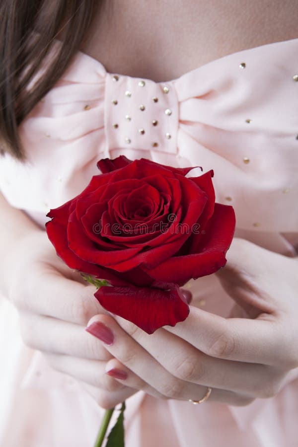 Rose Flower in Female Hands Stock Image - Image of beauty, girl: 39402417