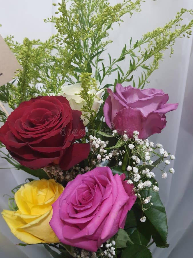 Flower Jouri Stock Photos - Free & Royalty-Free Stock Photos from ...