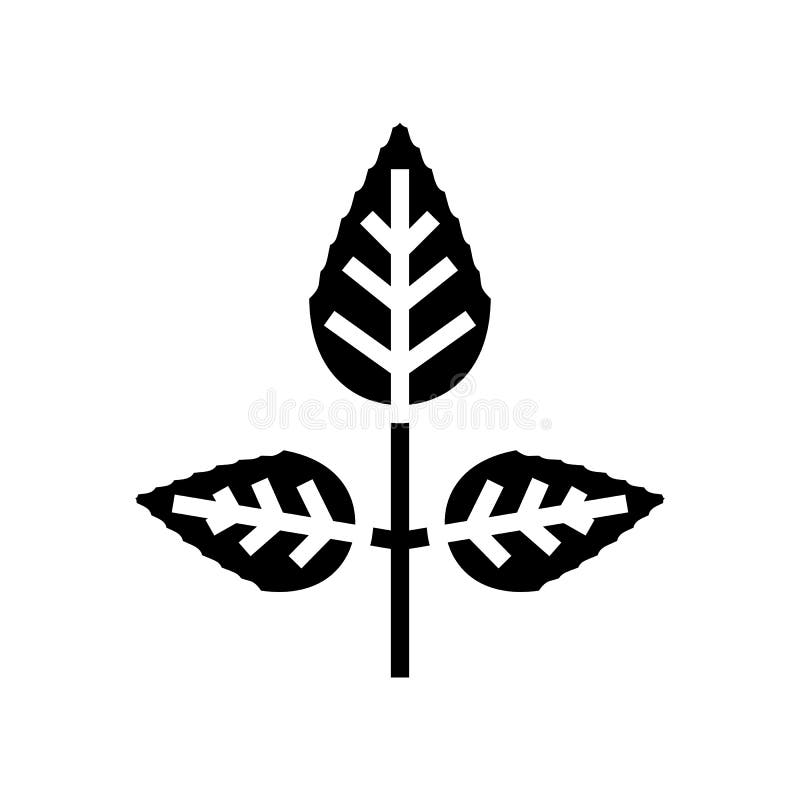 Rose Flower Leaf Glyph Icon Vector Illustration Stock Illustration ...