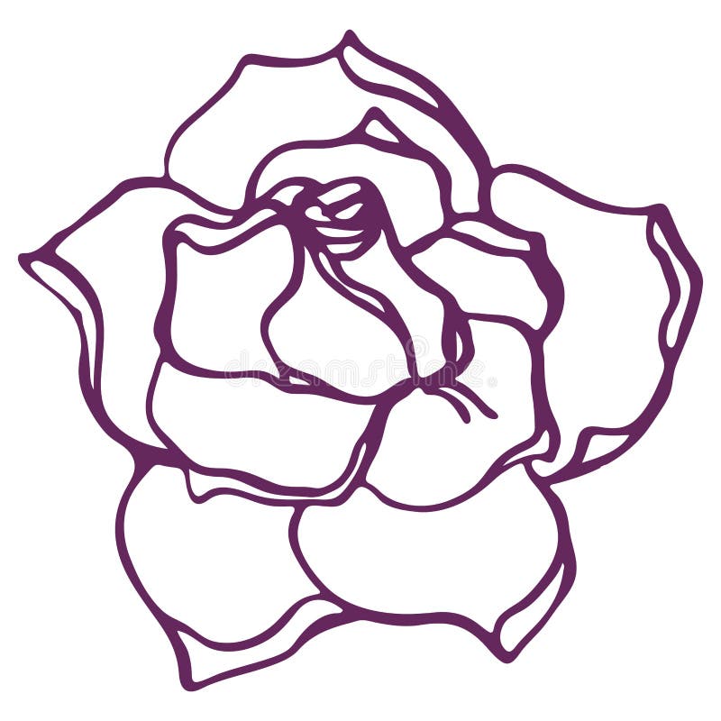 Rose Flower Bud on Stem Line Art. Hand Drawn Realistic Detailed Vector ...