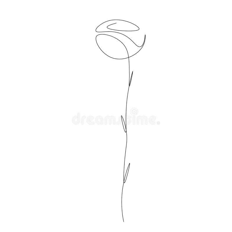 Rose Flower One Line Drawing Vector Illustration Stock Vector ...