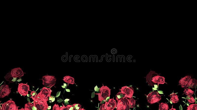 Tulip Flower Particle Loop Animation Stock Footage - Video of flowering ...