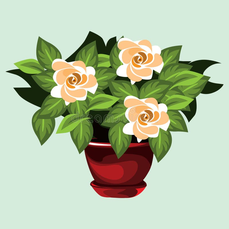 Rose Flower Plant in Pot. Vector Illustration Decorative Design Stock ...