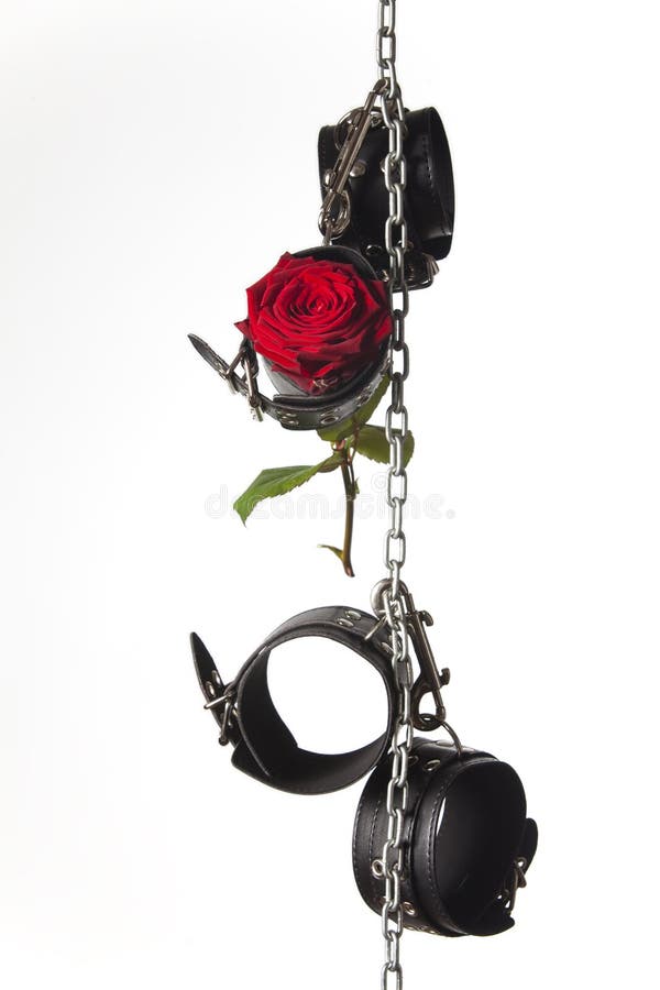 Rose stock image. Image of cuff, dependence, handcuffs - 49189091