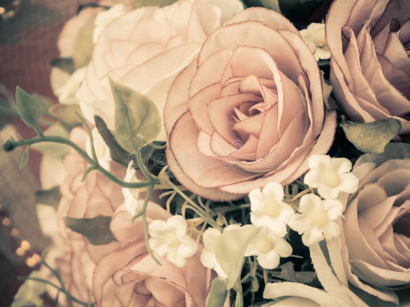 Rose Flower with Retro Filter Effect Stock Image - Image of closeup ...