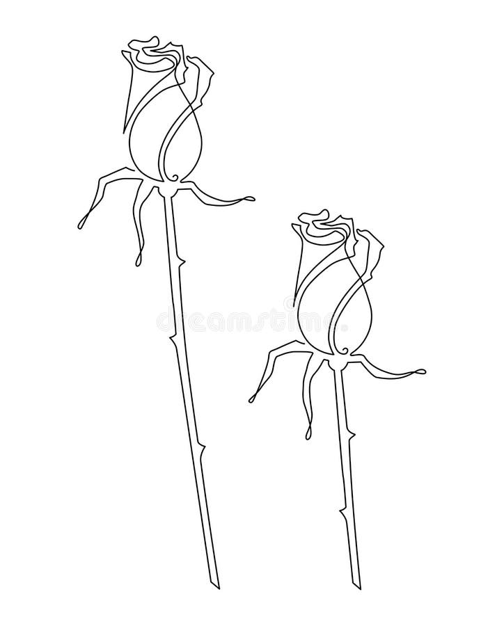 Rose Flower on a Stem. Continuous Line Drawing Stock Vector ...