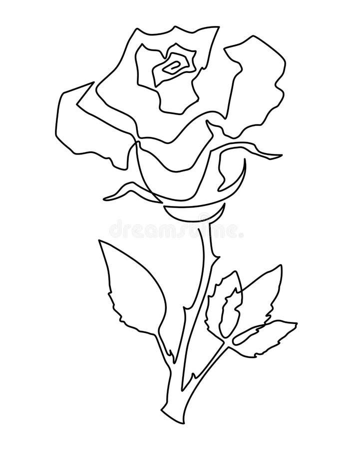 Rose Flower on a Stem. Continuous Line Drawing Stock Vector ...