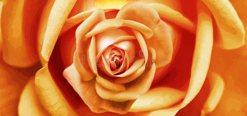 Rose Flower Warm Red Background Stock Illustration - Illustration of ...