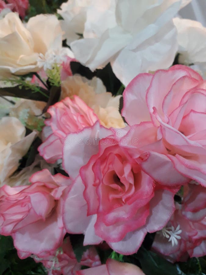 Rose Flower White Rose Wedding Floris Bucket Wedding Stock Photo ...