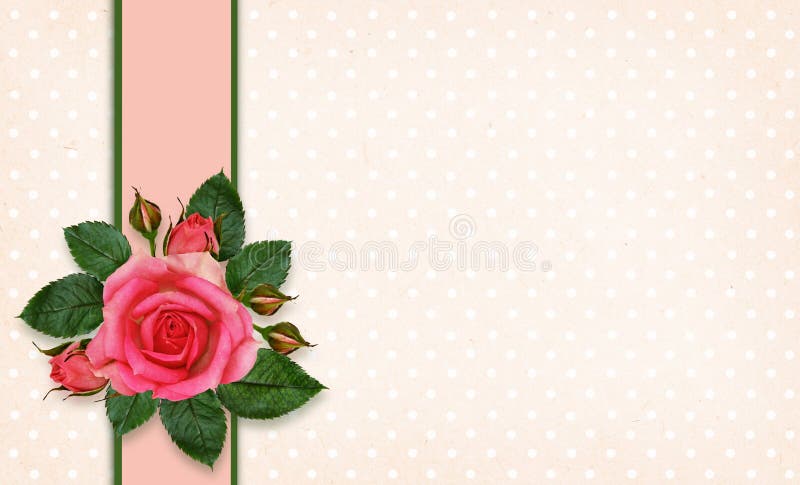 Spotted Frame Stock Illustrations – 23,430 Spotted Frame Stock ...