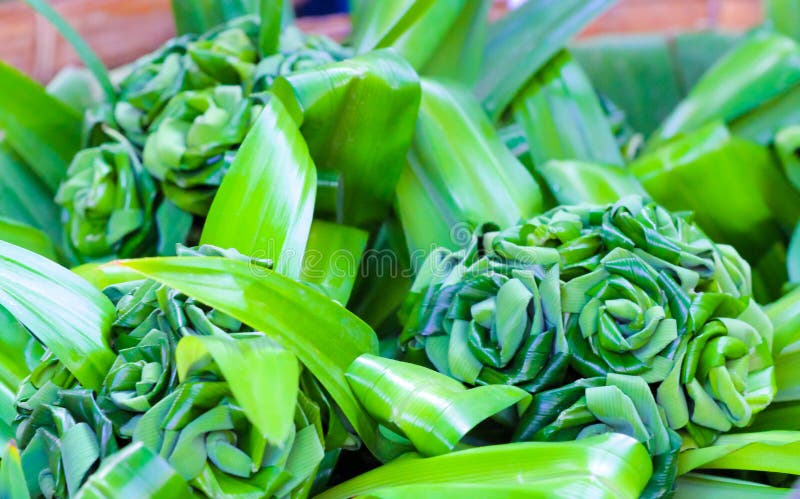 Rose Flowers Made from Pandan Leaves Stock Photo - Image of aroma ...