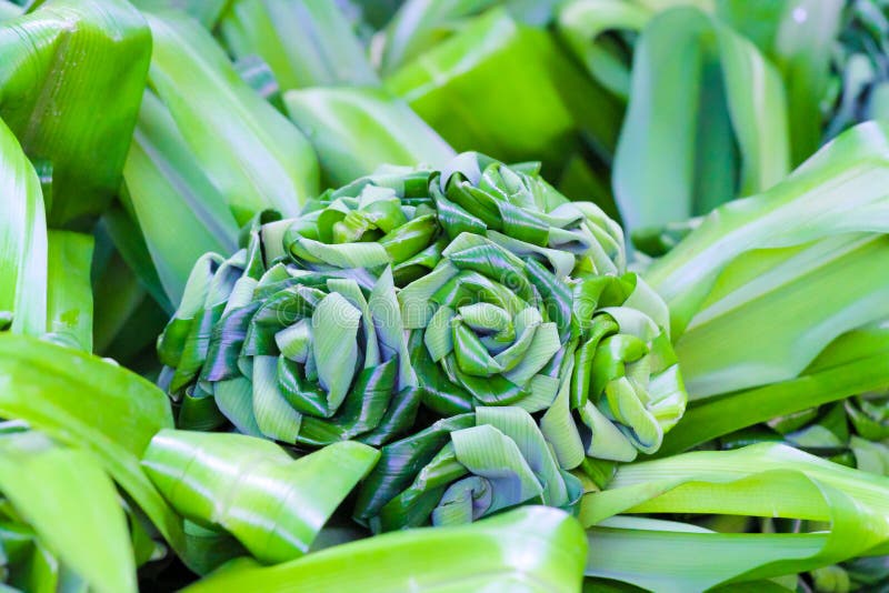 Rose Flowers Made from Pandan Leaves Stock Image - Image of leaves ...