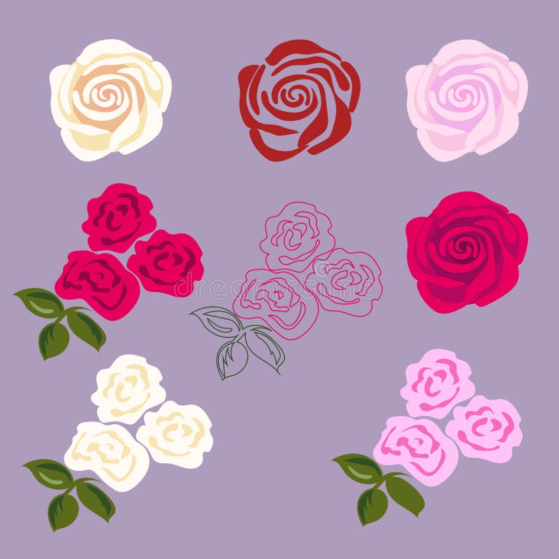 Rose flowers. stock vector. Illustration of flat, beautiful - 69473083