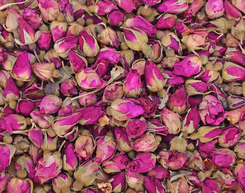 Rose Flowers Spice. Isolated on Background Stock Photo - Image of white ...