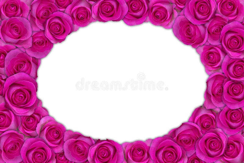 Rose frame stock photo. Image of decorative, frame, flowers - 247042034