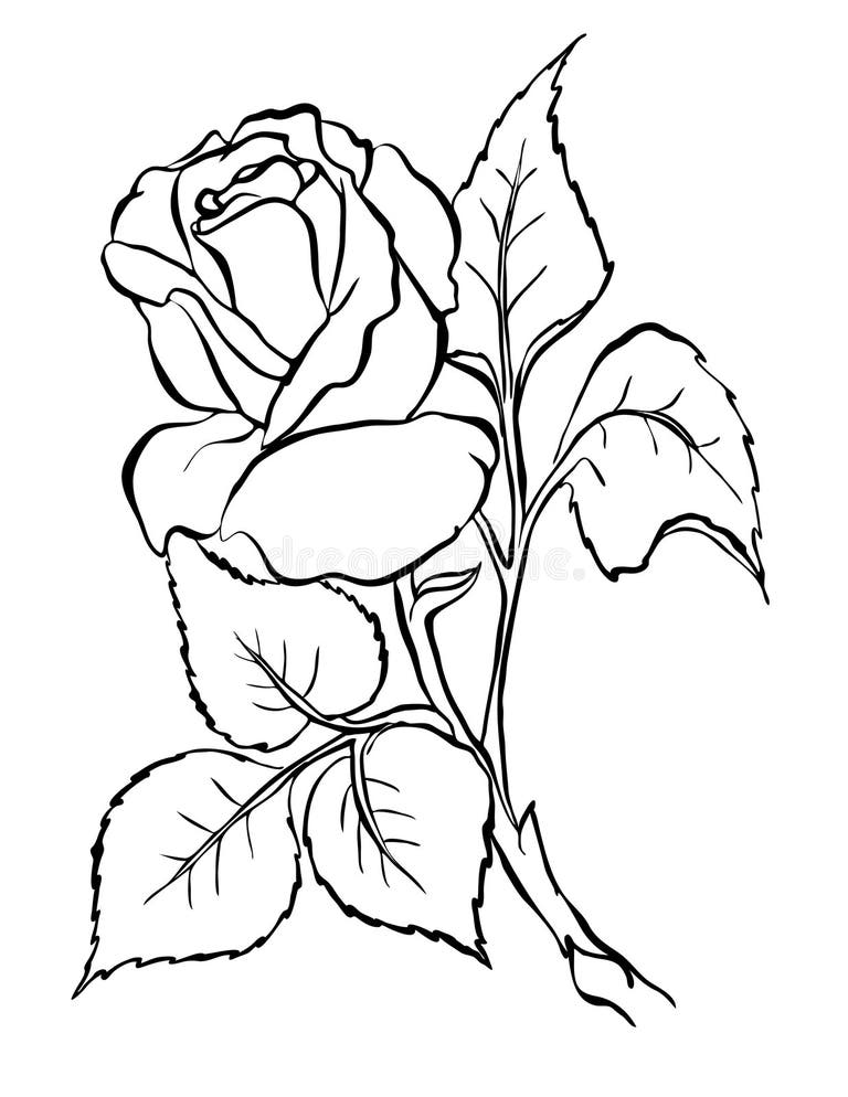 Freehand Outline Drawing Stock Illustrations – 42,242 Freehand Outline ...