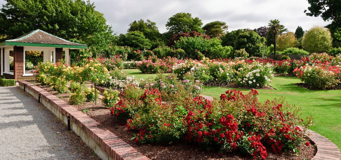 654,424 Rose Garden Ohotos Stock Photos - Free & Royalty-Free Stock ...