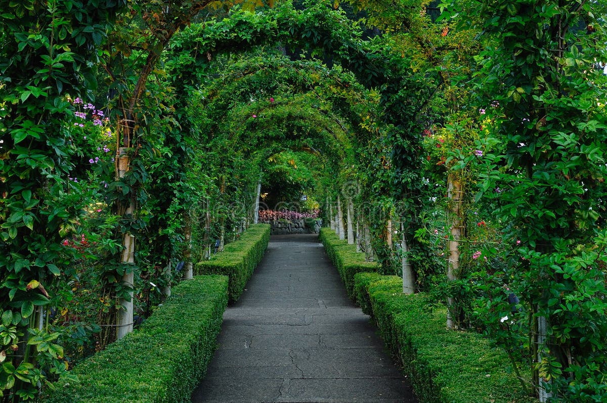 10,054 Rose Garden Path Stock Photos - Free & Royalty-Free Stock Photos ...