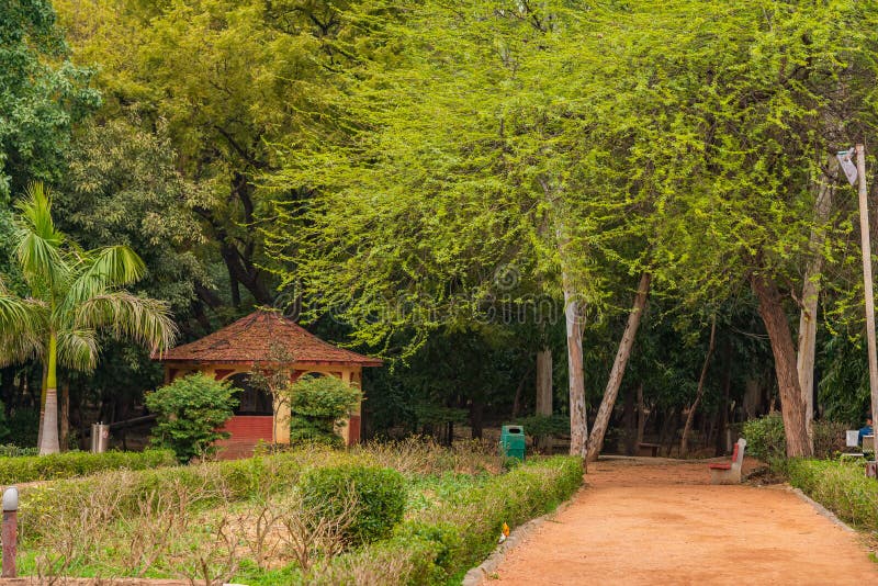 Rose garden, Delhi stock photo. Image of city, countryside - 205330942