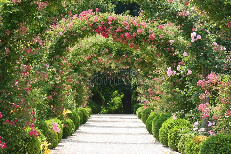 Rose Garden Landscape stock photo. Image of plant, display - 2622350