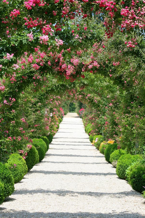 Rose Garden Landscape stock photo. Image of plant, display - 2622350