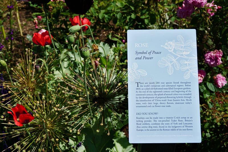 Rose Garden, Oxford Botanic Garden Editorial Photo - Image of oxford ...