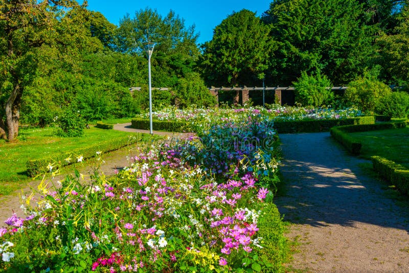 Rose Garden in Swedish Town Helsingborg Stock Image - Image of botany ...