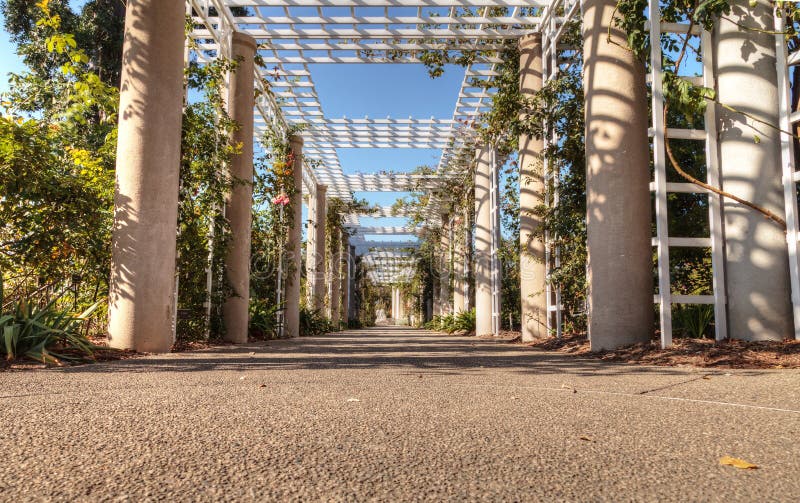 488 Walkway Trellis Photos - Free & Royalty-Free Stock Photos from ...