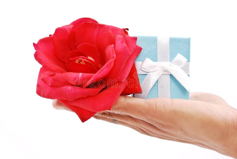 Rose and Gift stock photo. Image of concept, admiration - 21761636
