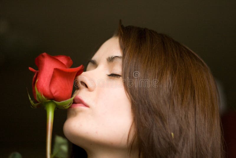 Rose Girl 2 Picture. Image: 4884584